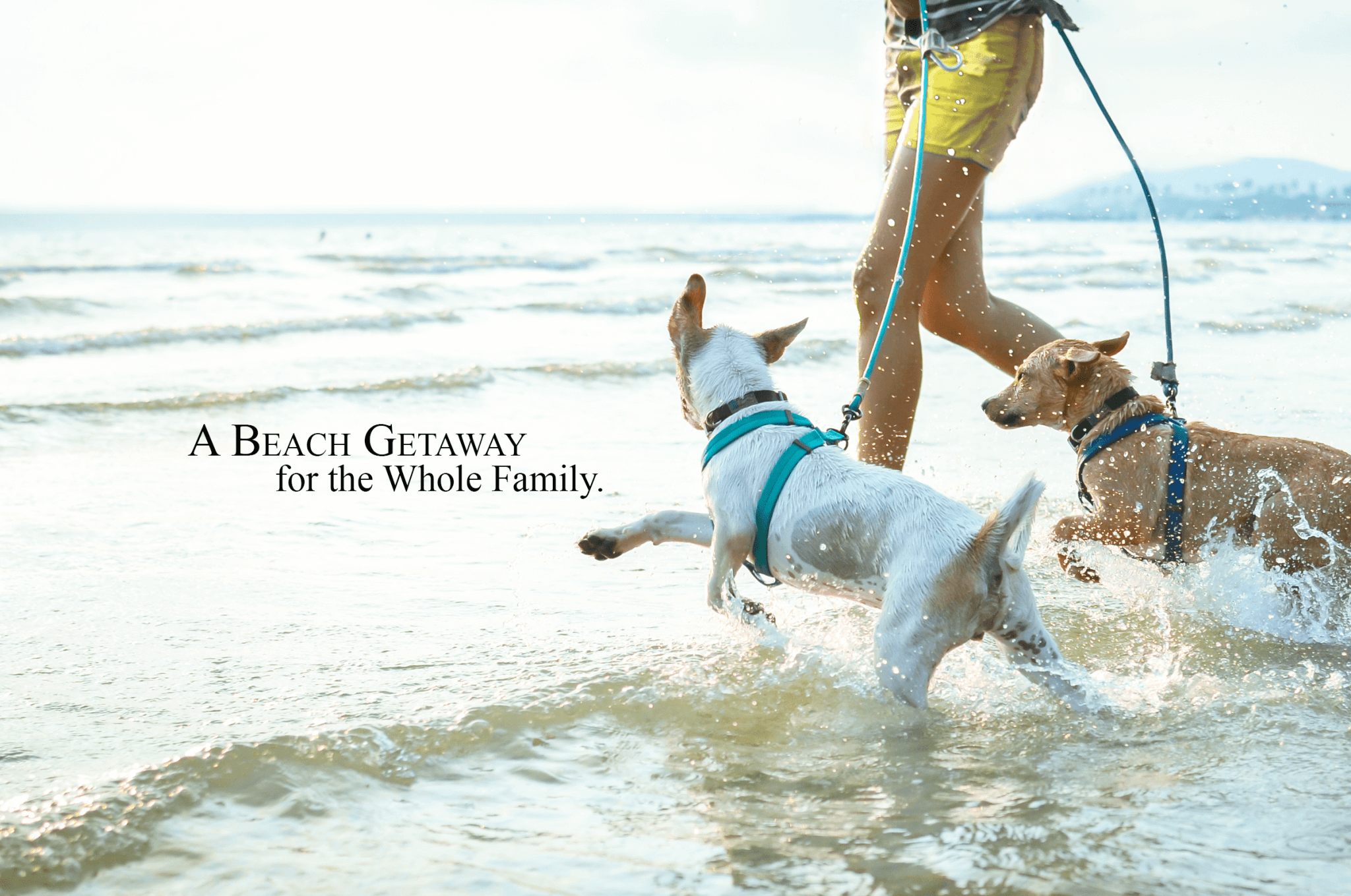 Home - Looking Glass Inn